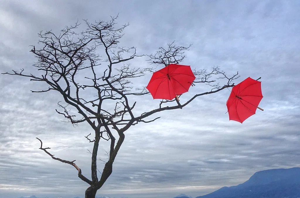 Strong winds blowing through N.S. | Country 100.7