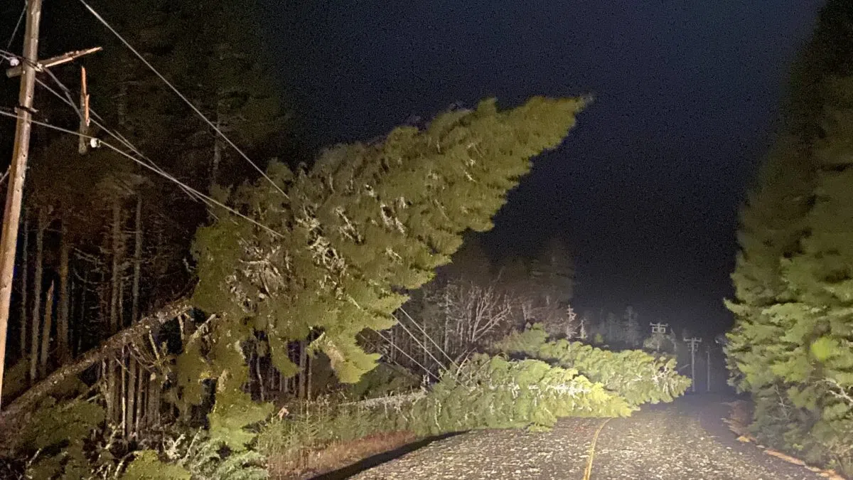 Register your storm damages with the province | 98.1 Charlotte FM