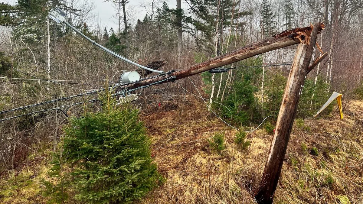 Power fully restored following last Monday’s storm | Country 94