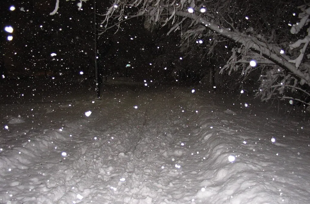 Parts of N.S. bracing for 60-100 cm of snow by Monday | 101.5 The Hawk