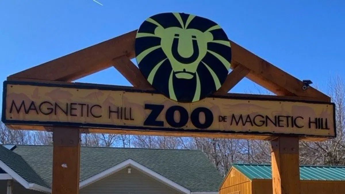 New baby lemur at Magnetic Hill Zoo | 91.9 The Bend