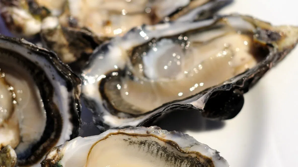 Probe underway after reported illnesses from attendees of PEI Shellfish ...