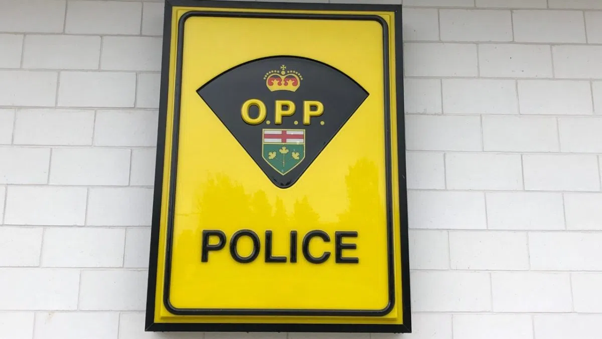 Ignace OPP lay several charges on Saugeen | CKDR
