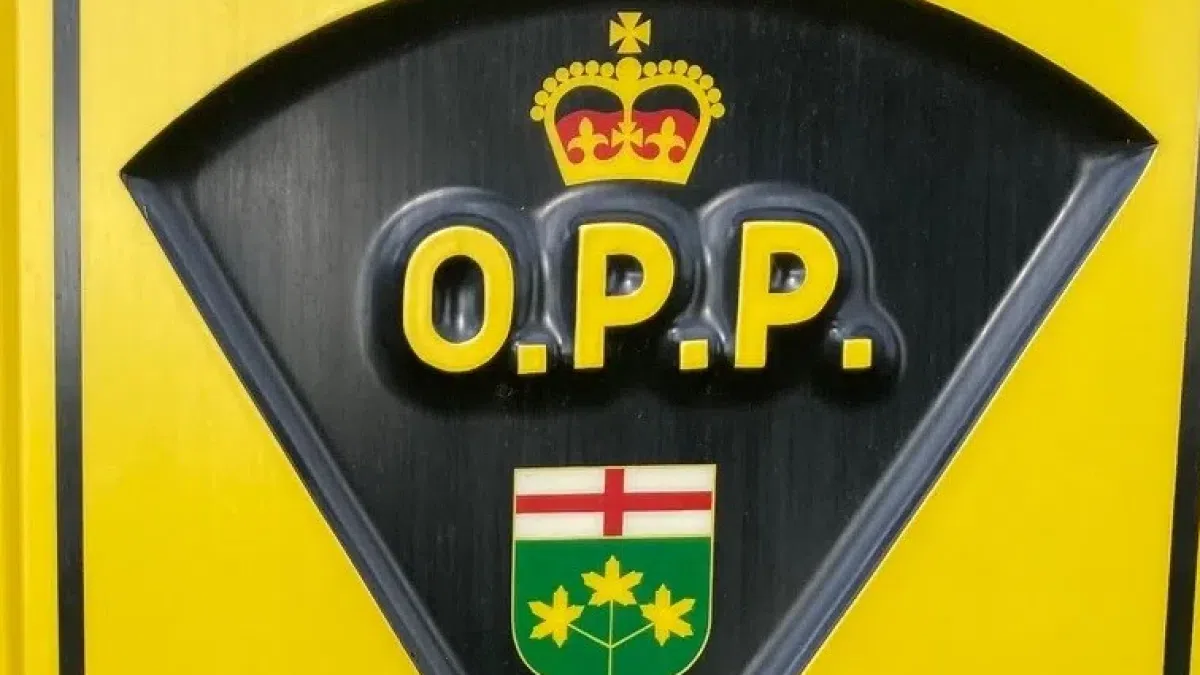 Province promises more money for policing | 99.9 THE BAY
