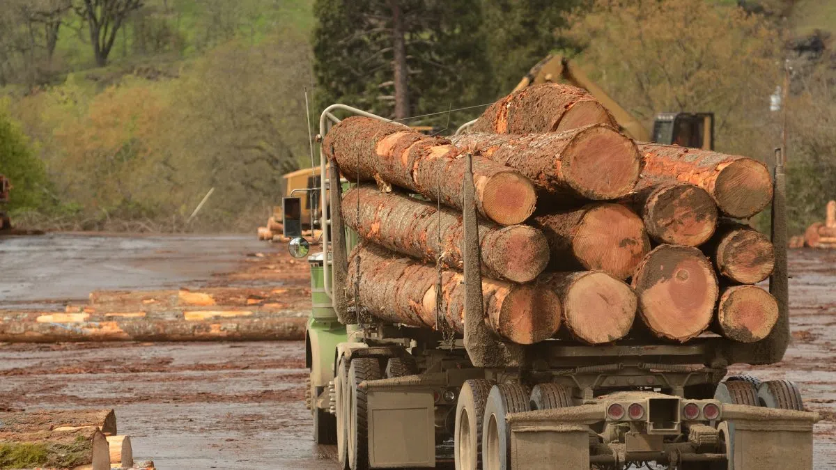 Details on possible Liverpool pulp mill expected in March | CKBW