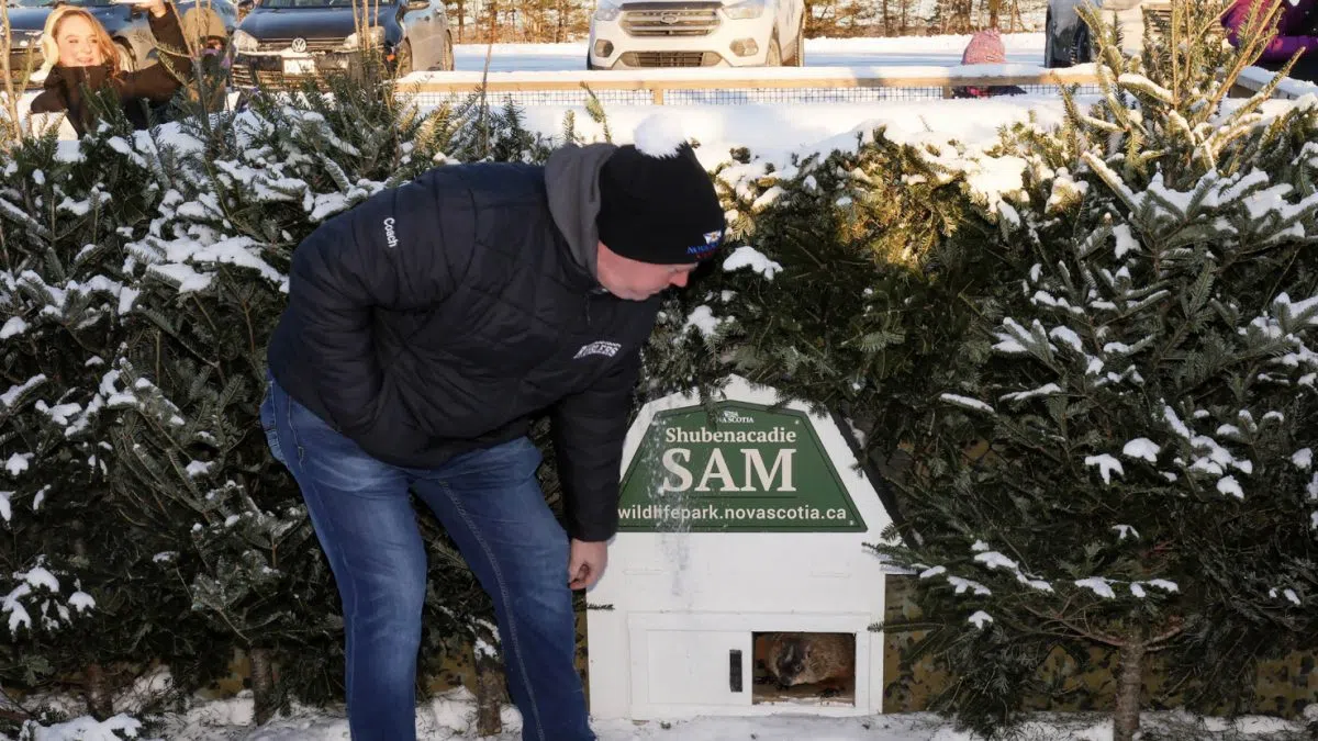 Nova Scotia and Ontario Groundhog Day forecasts: A Split Decision | CKBW