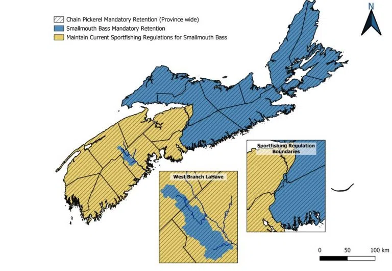 Nova Scotia changes rules, requires anglers to kill all chain pickerel ...
