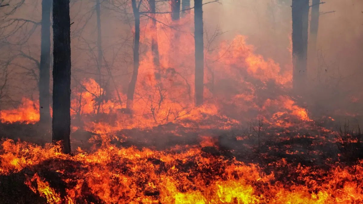 Susie’s Lake wildfire now under control | CKBW