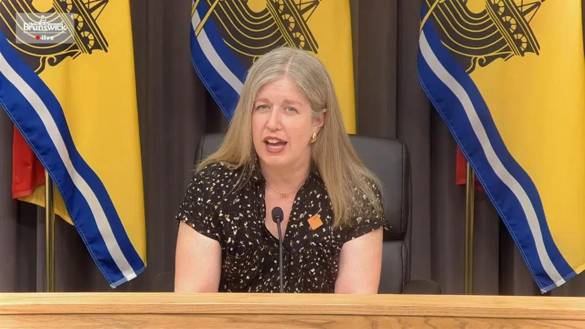 Removing NB Power’s equity target a temporary solution: premier | 97.3 ...