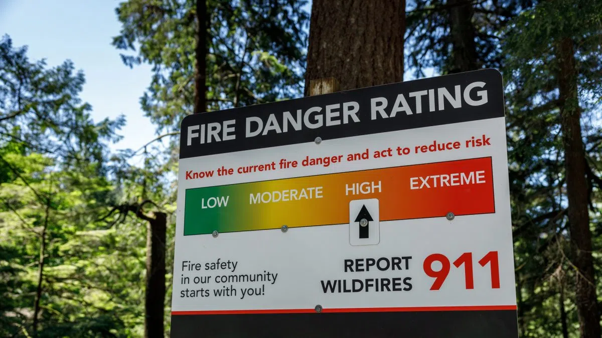 N.S. wildfire season on par with last year as officials investigate ...