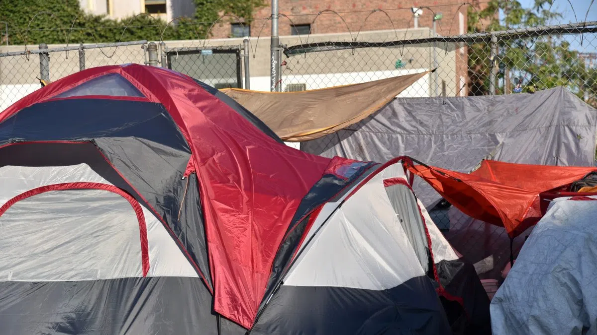 Homelessness numbers triple in N.B. cities: report | 91.9 The Bend