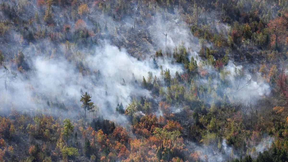 More firefighters helping to battle Lake George wildfire | CKBW