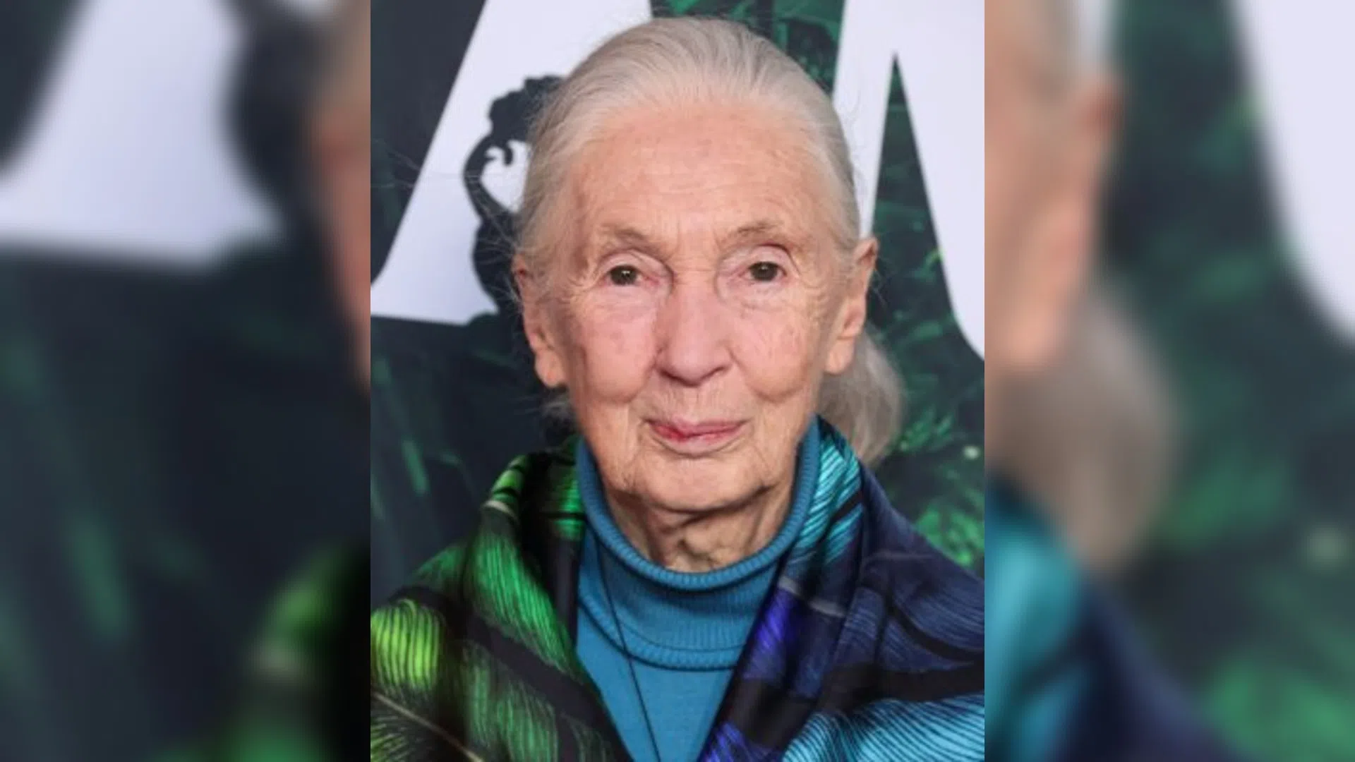 Conservationist Dr. Jane Goodall dies at 91 | Y95.5