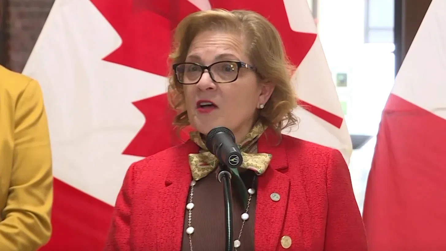 Francophone immigration continues to rise in Canada | 101.5 The Hawk