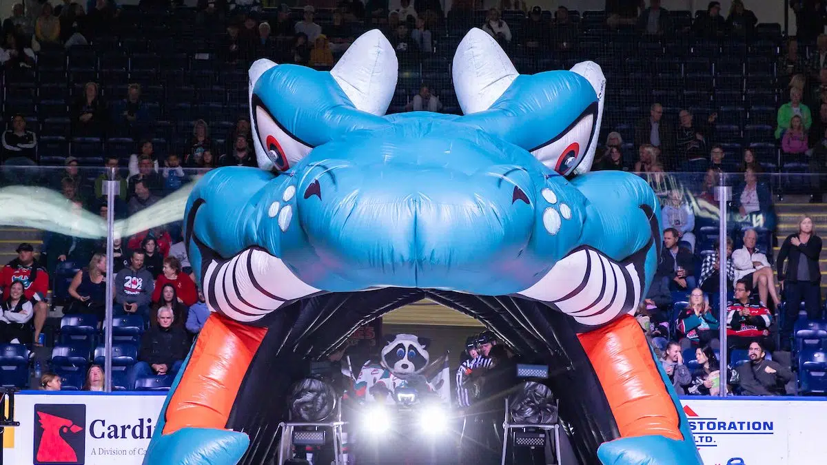 Things that make me go hmm…. | RocketFAN