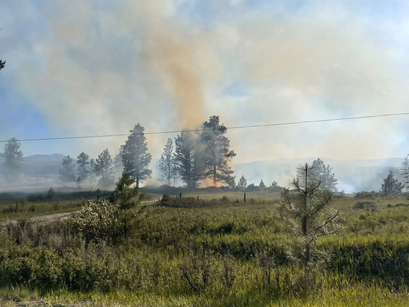 Wildfire starts Thursday near Cranbrook | Wild 104.7 - East Kootenay's ...