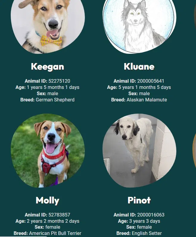 Calgary Humane Society has great pet adoption and foster programs ...