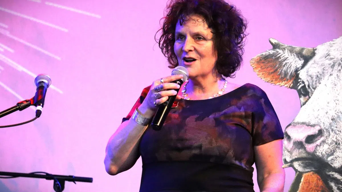 Calgary Folk Music Festival announces star studded lineup | CJWE ...