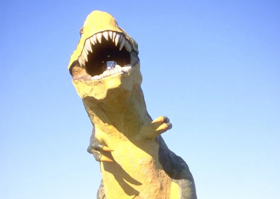 Iconic Alberta landmark will soon become a fossil and a past memory ...