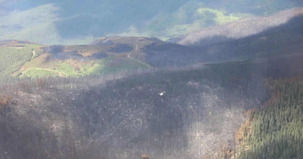 Alberta wildfires: evacuations in the north as dry conditions persist ...