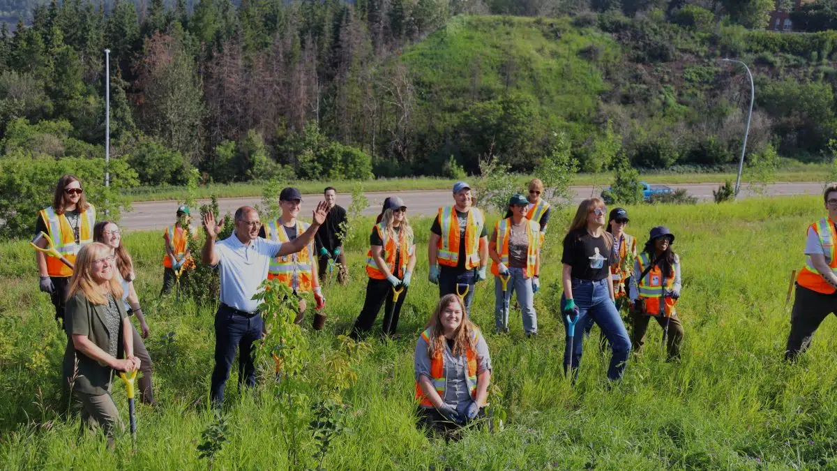 Edmonton to plant over 2 million trees over the next 8 years | CFWE ...