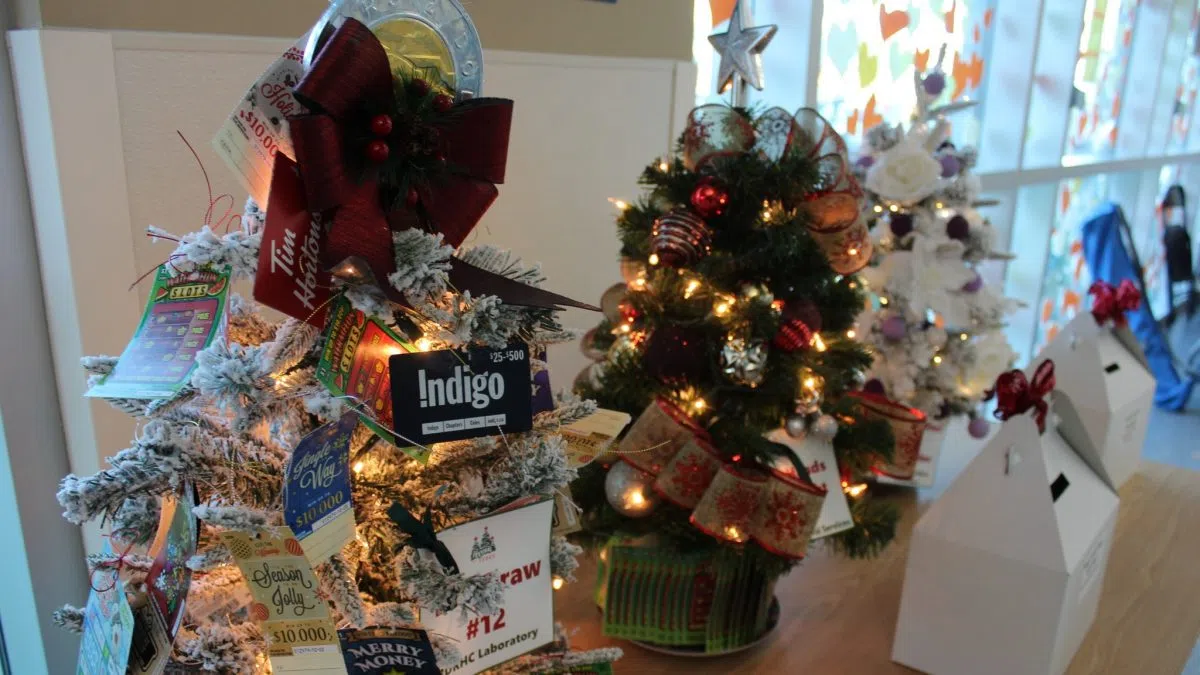 Red Deer Festival of Trees celebrates 30 years | CFWE Northern Alberta