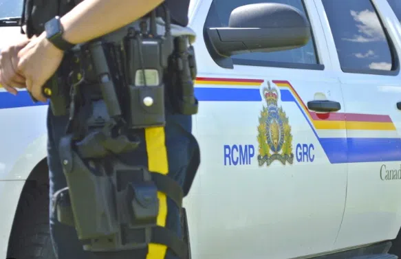 Four charged after High Level RCMP seize guns, drugs in Bushe River ...