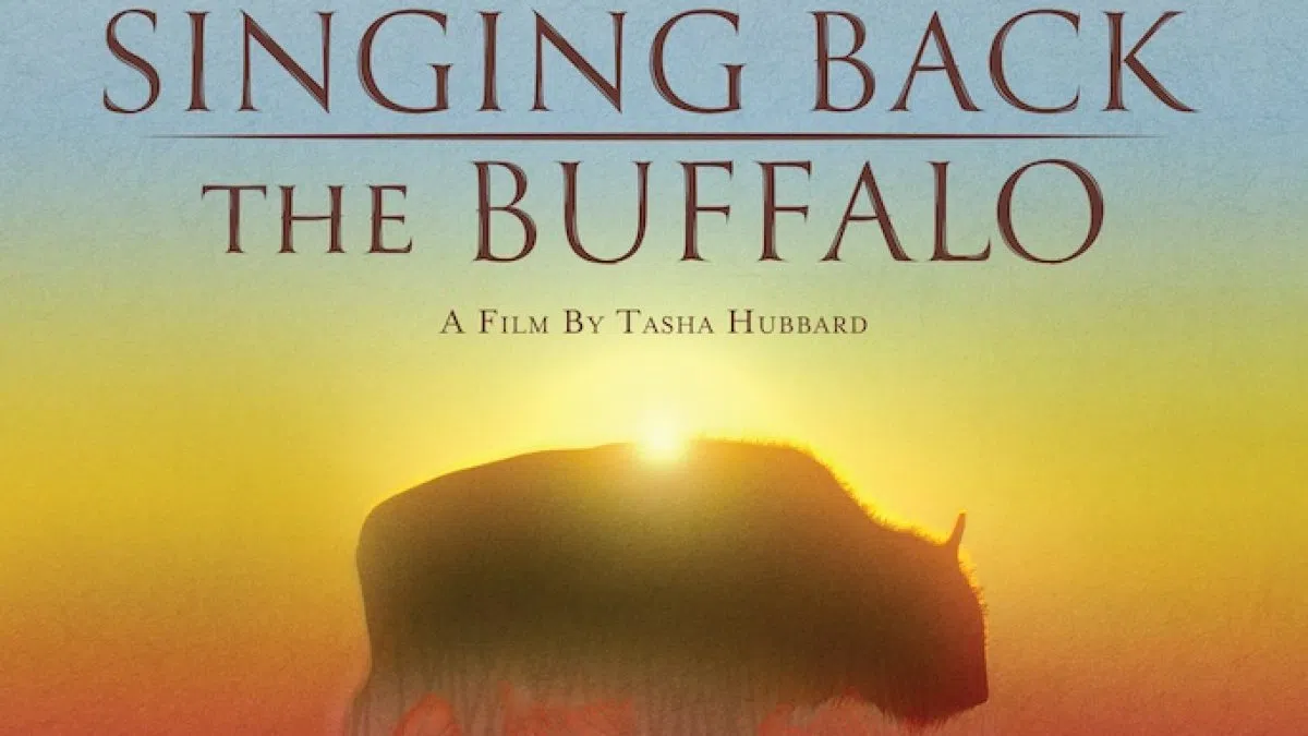 Tasha Hubbard Is Singing Back The Buffalo At Northwest Fest May 13 ...