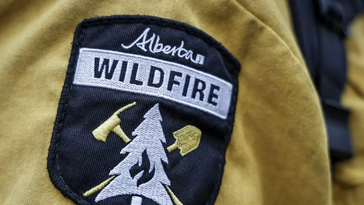 Alberta adding new wildfire teams to protect communities at risk | CFWE ...
