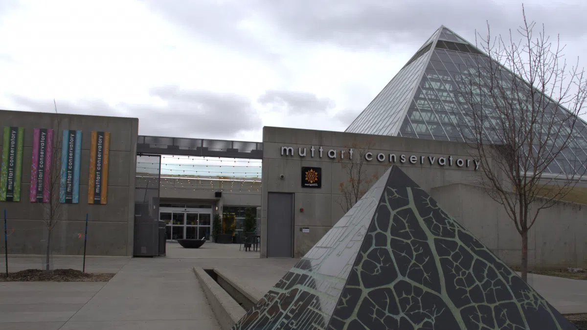 Muttart Conservatory Springs to Life with Upcoming Easter’s Green ...