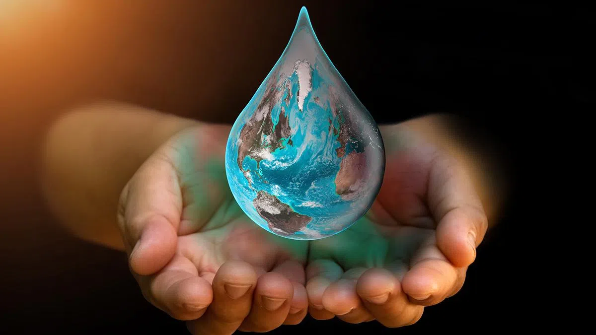 First Nations chiefs alarmed by feds’ lack of commitment to protecting ...