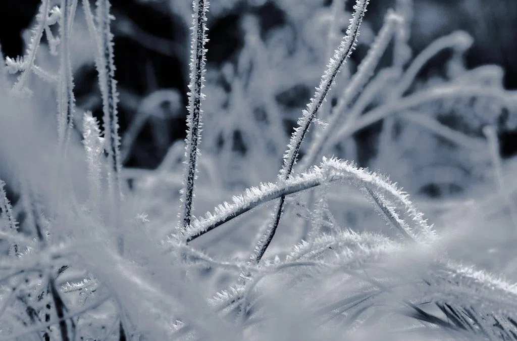 Cold reaching -50 C with wind chill puts warnings in effect for several ...
