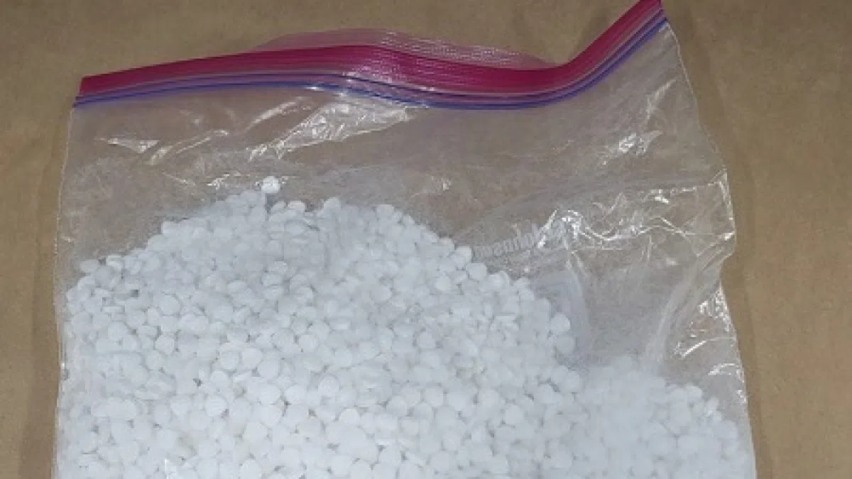 B.C. police arrest four suspects allegedly shipping drugs to Yukon | 96 ...