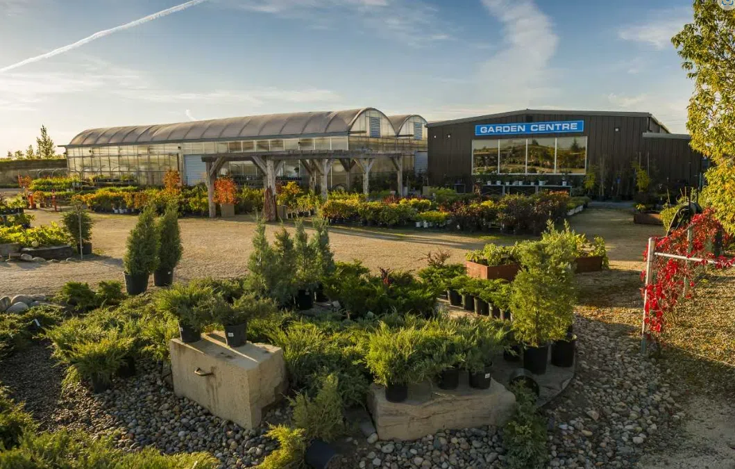 Alternative Choice Garden Centre in Brandon picks up national award | Q ...