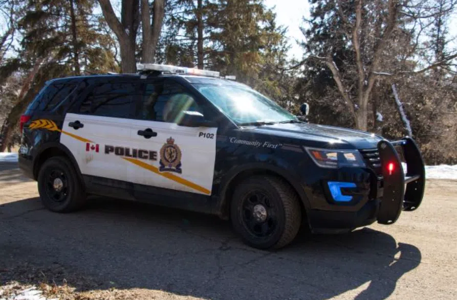 Brandon police investigating damage to several vehicles and a vehicle ...