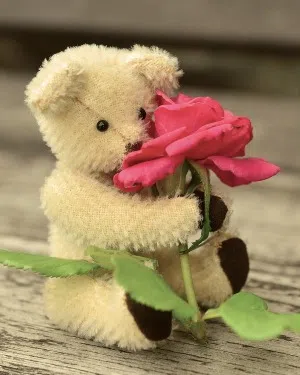 Cheyenne Louise Stotts | WCLU Radio