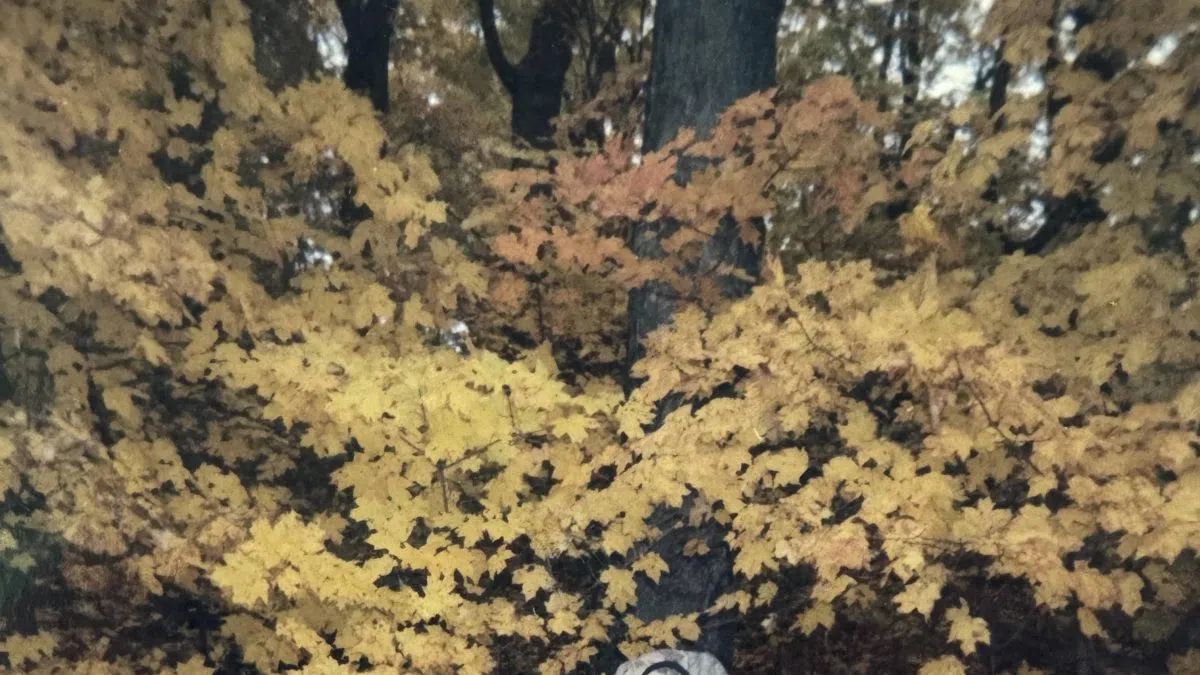 Ray W. Winter | WFIW FM / WFIW AM / WOKZ-FM