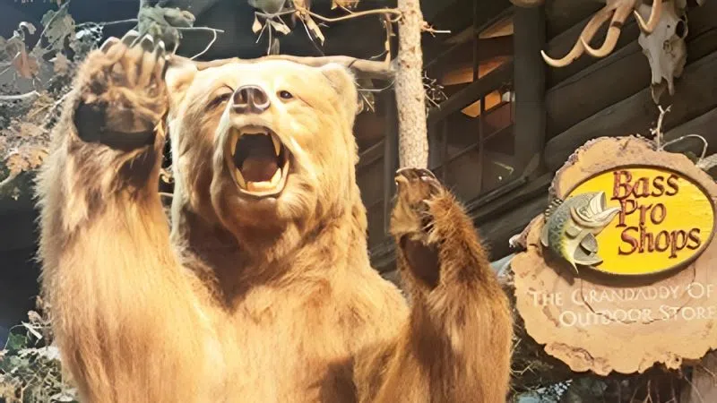 Obituaries | WFIW FM / WFIW AM / WOKZ-FM