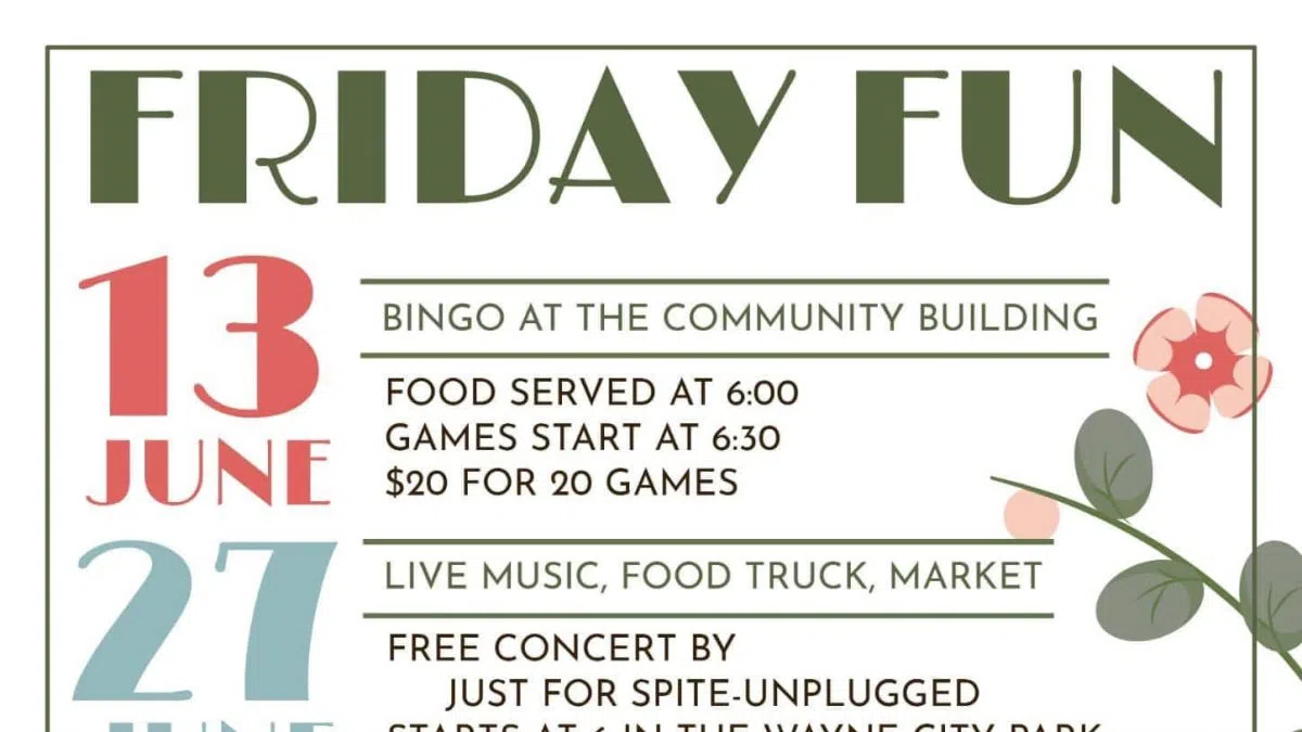 WAYNE CITY FRIDAY FUN SERIES BRINGS ENTERTAINMENT TO THE COMMUNITY ...