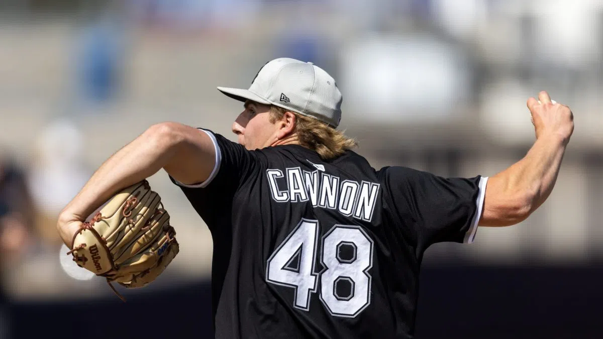 Baseball is back in Chicago | WLS 890 AM