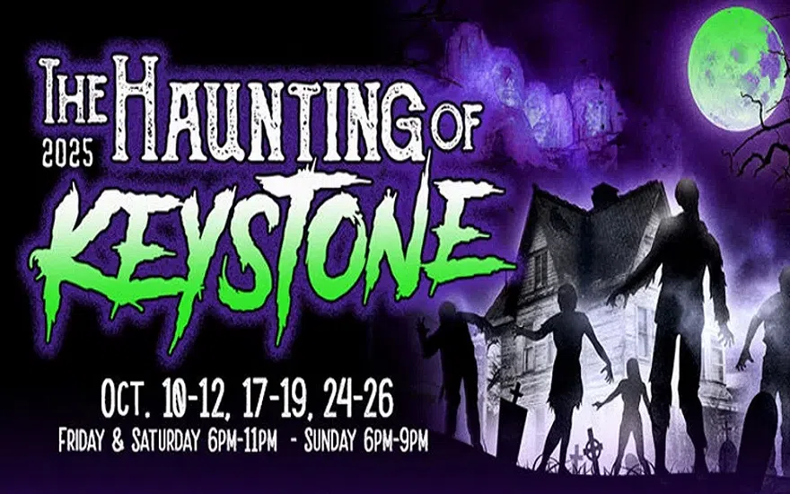 980 AM/103.5 FM BLACK HILLS GOLD HITS (KDSJ)