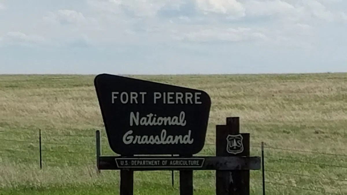 15 Prescribed Burns Planned For Fort Pierre National Grasslands In ...