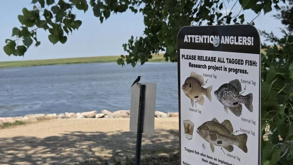 Game, Fish And Parks Biologists Using Technology In Lyman County Lake ...