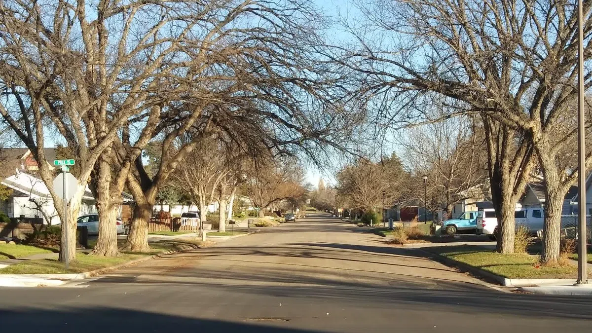 City Of Pierre To Start Tree Trimming Operations Wednesday | KCCR-AM