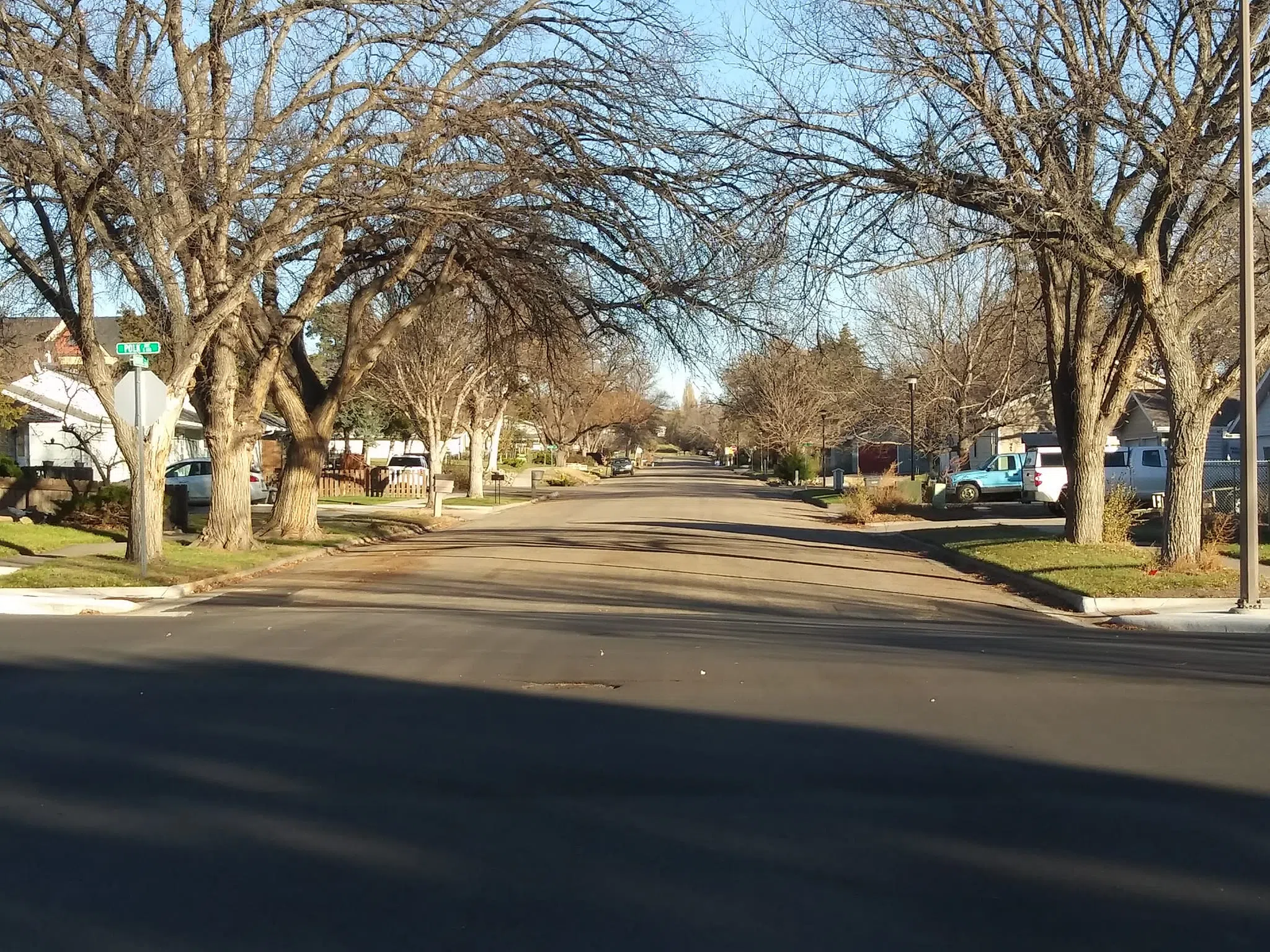 City Of Pierre To Start Tree Trimming Operations Wednesday | KCCR-AM