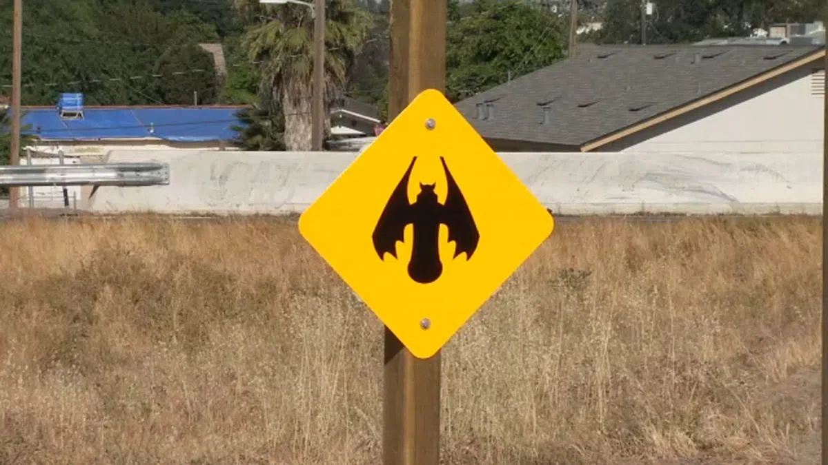 Mysterious ‘Bat Sign’ On Highway 180 In Central Fresno | News Talk 580 ...