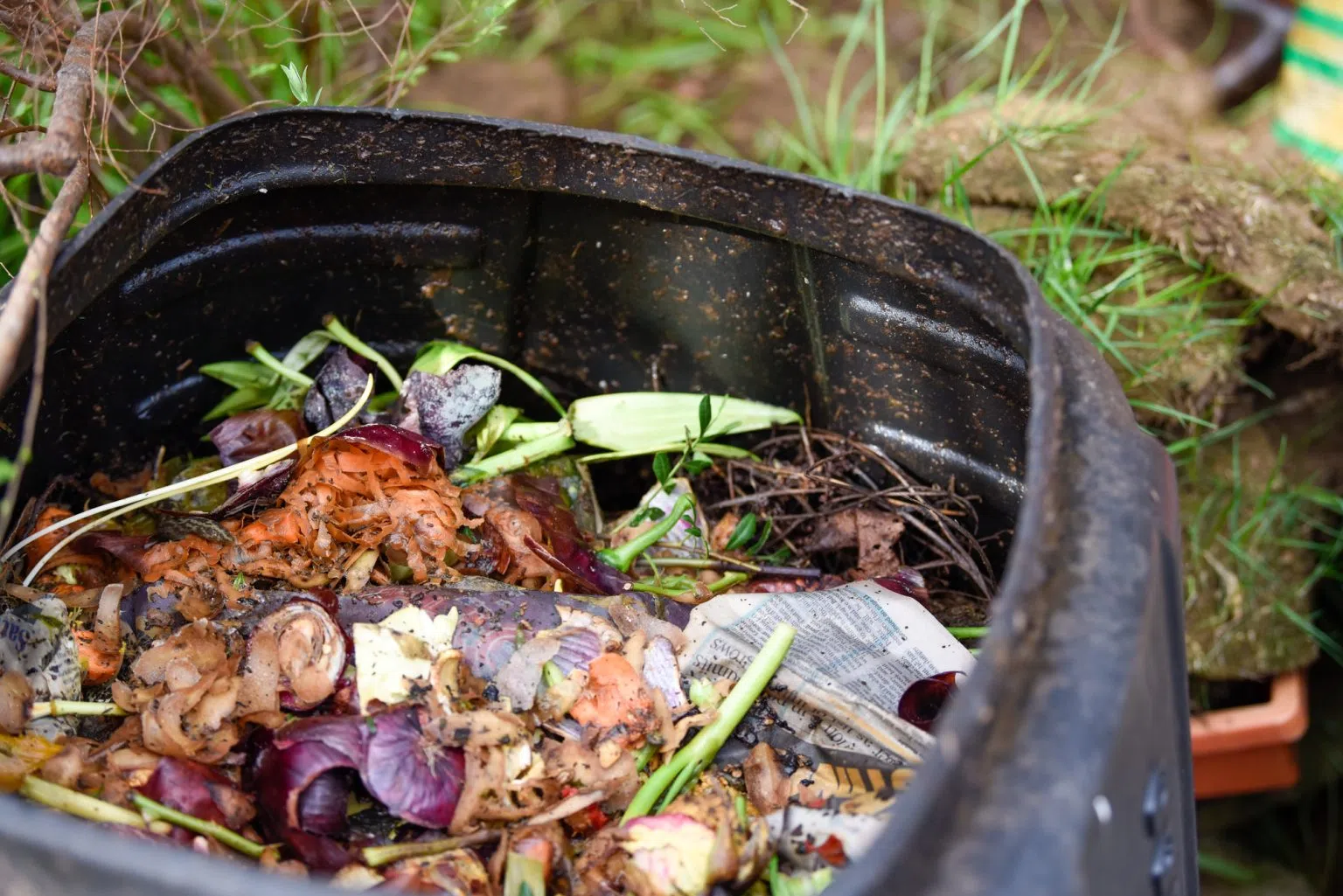 UC Researchers Develop Small-Scale Food Recycling System | News Talk ...