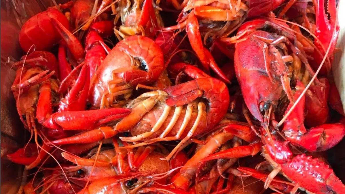 Today is National Crawfish Day! (April 17th) Do you know the History ...