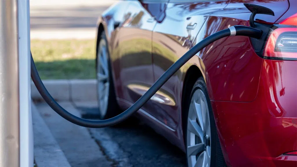 Canada Allows Chinese EV Imports, Raising Concerns in U.S. Automotive ...