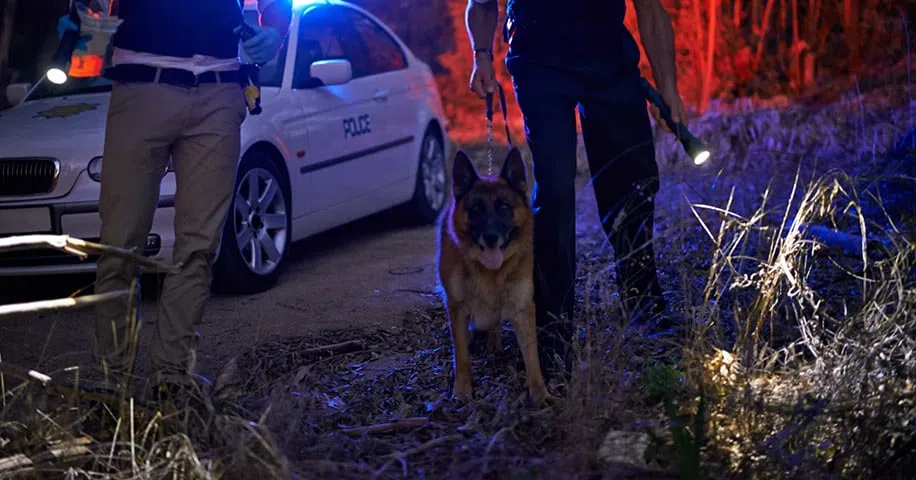 LOCAL | MPD Searching For Missing Teenage Boy Diagnosed With Autism ...